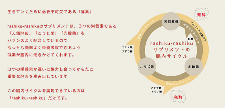 天然酵母+こうじ菌+乳酸菌（300g） - rashiku rashiku